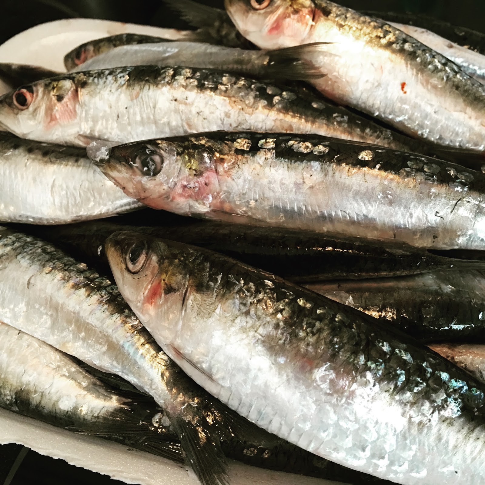 Laurel y Canela: Receta de guiso de xoubas (sardinillas)