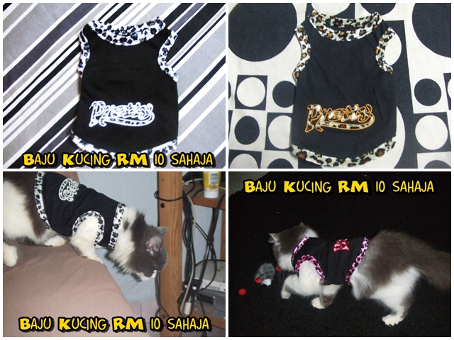 BAJU KUCING