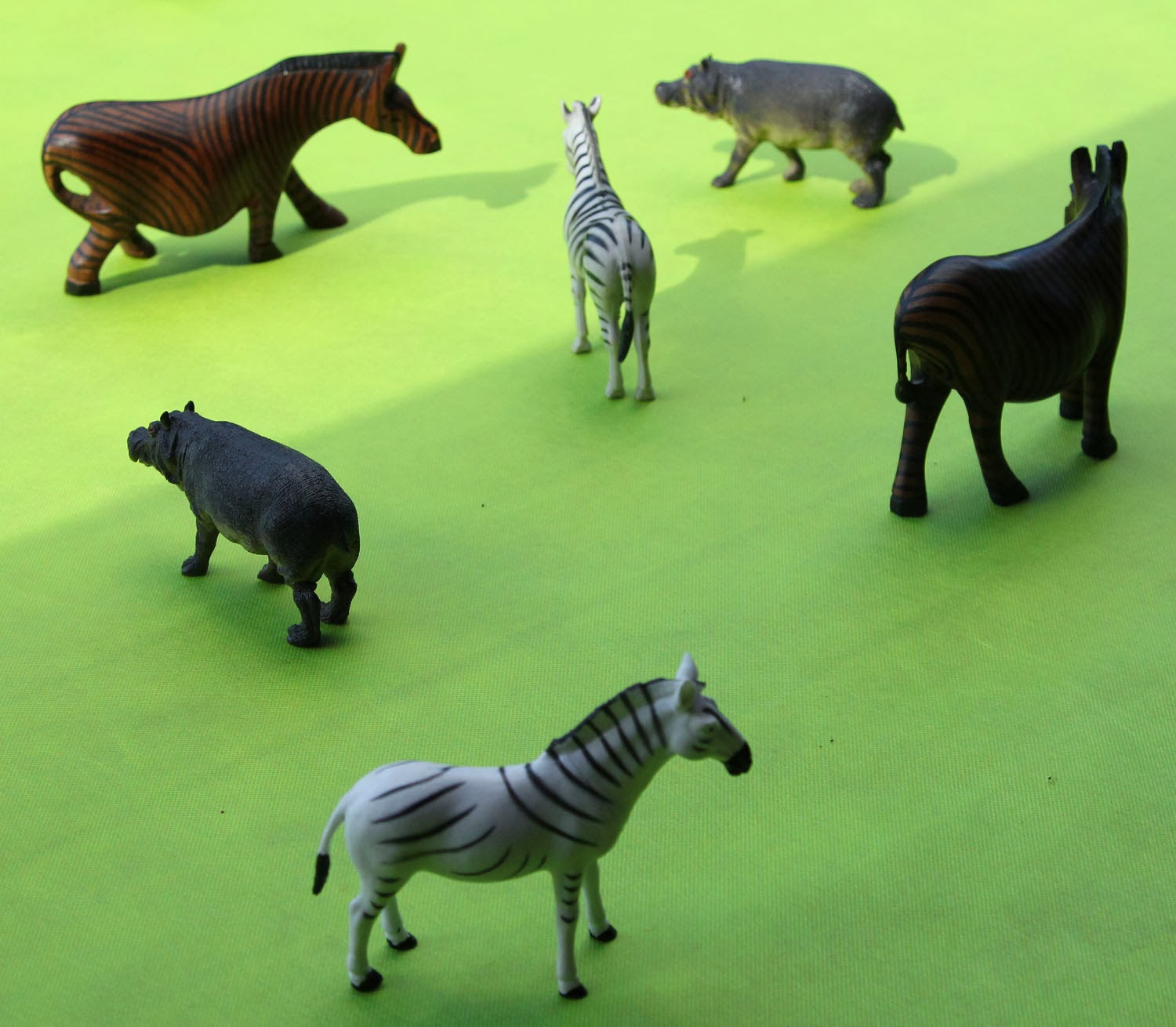 Rotorua Artist Janet Keen's Photography, Mosaics, Paintings & Writing ...