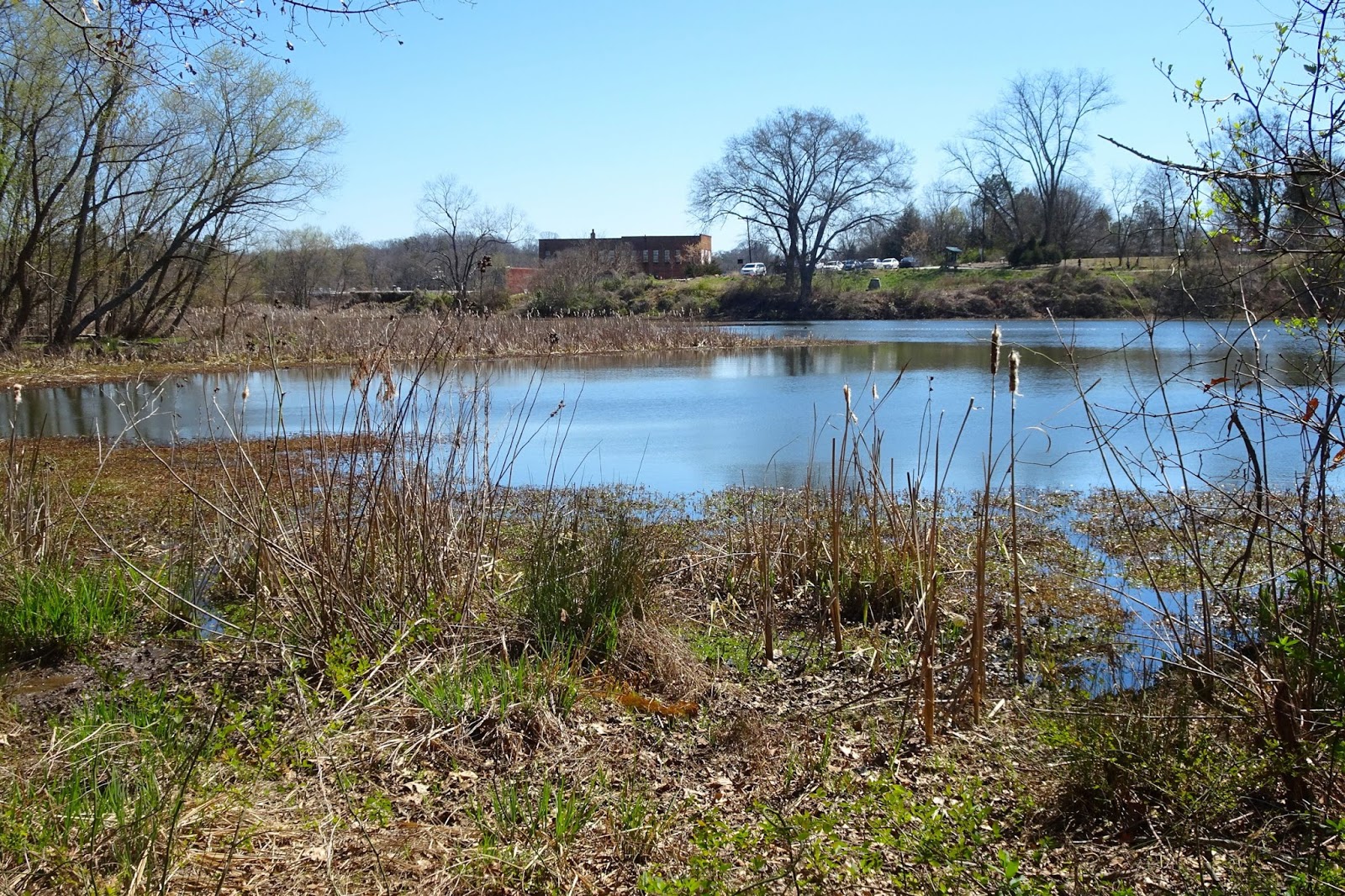 Femme au foyer: Your guide to Lake Conestee Nature Preserve