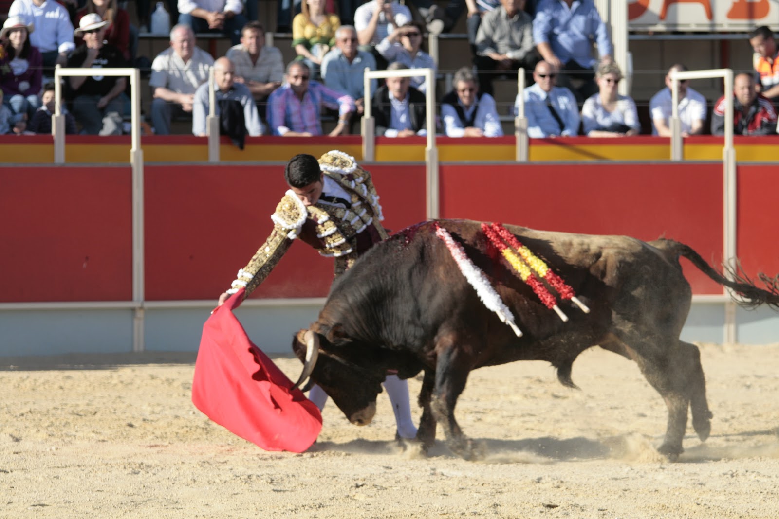 feriataurina.es: DOS CORRIDAS DE TOROS, DE MOMENTO, PARA JUAN BELDA EN ...