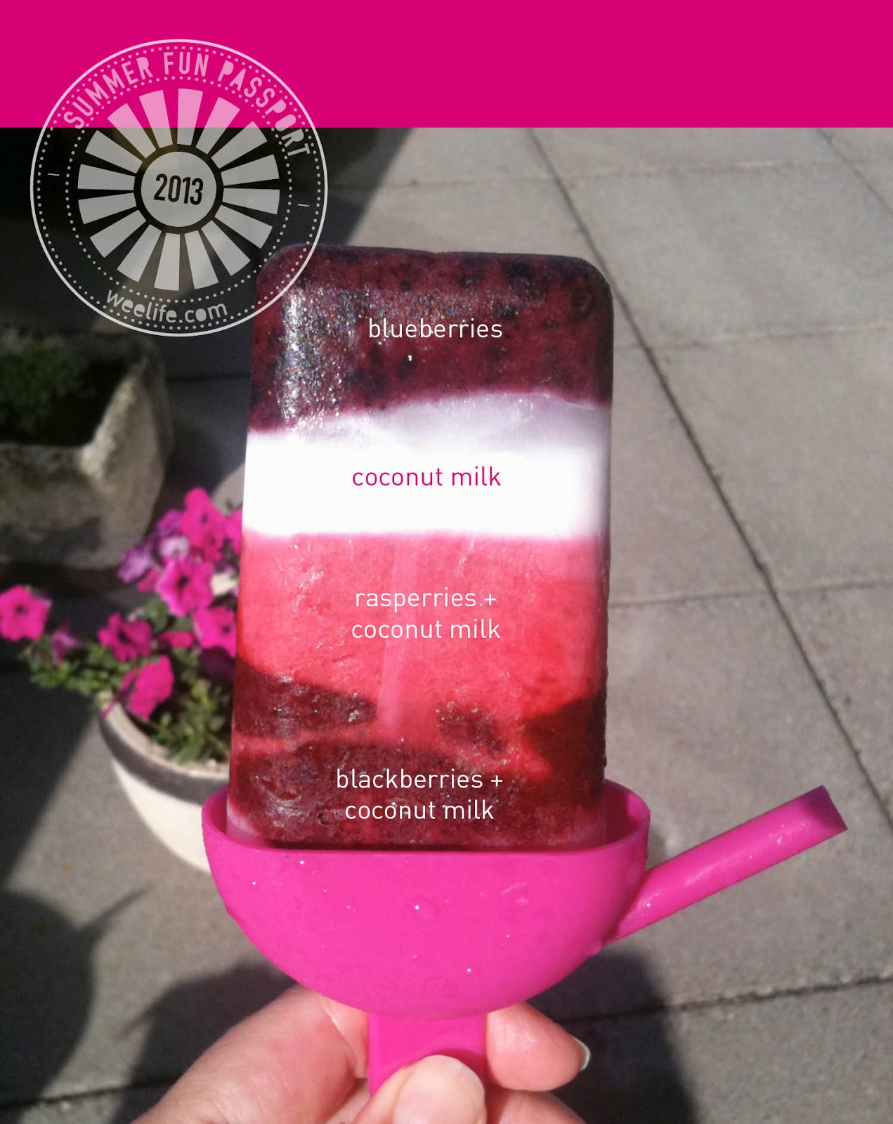 weelife: Summer Fun Passport: Making Popsicles!