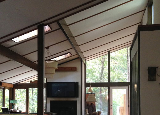 Young at Heart and Mind: Carroll Ishee