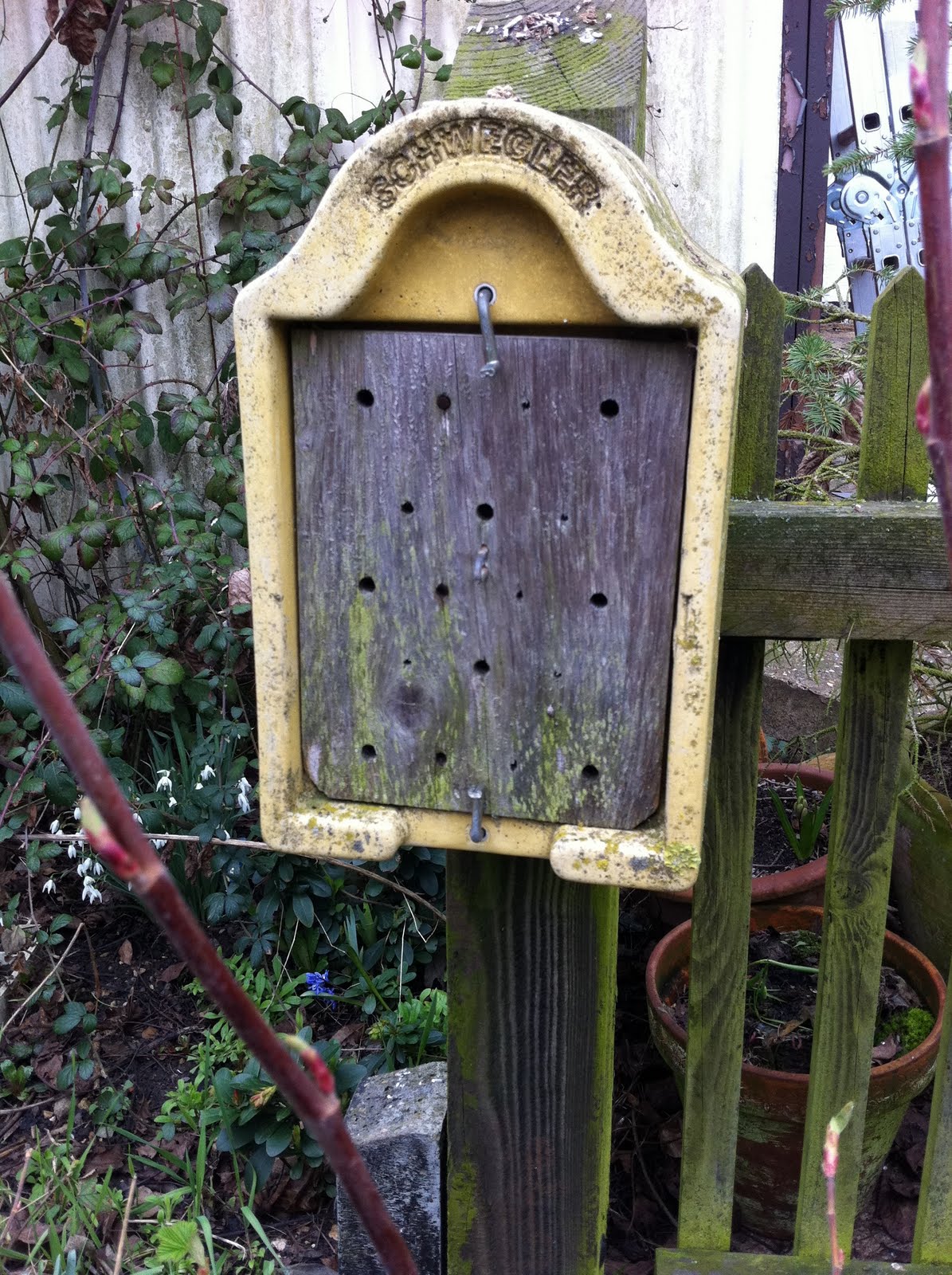 Gary's Garden: Wildlife Gardening Part 3 Bee Boxes, insects and other ...