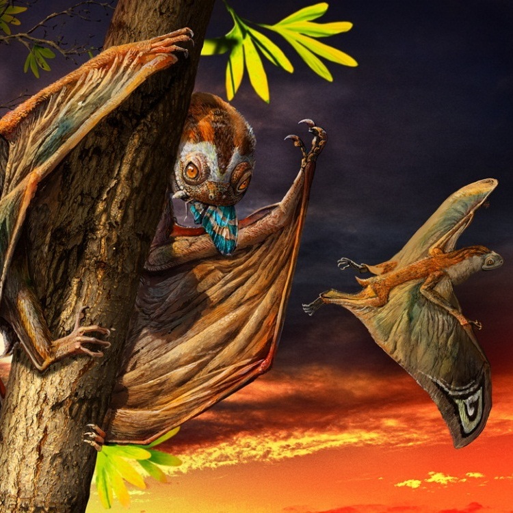 Species New to Science: [Paleontology • 2017] Vesperopterylus ...