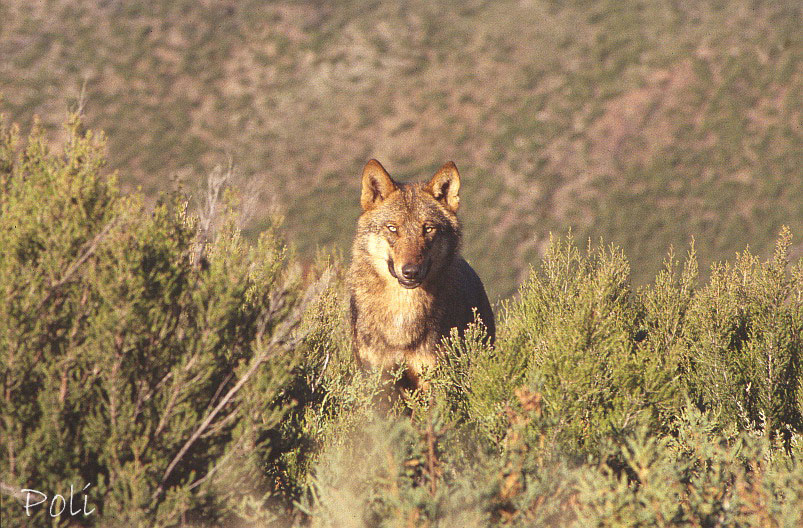 De paseo por la naturaleza