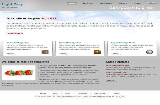 Free Light Gray Business CSS Website Template