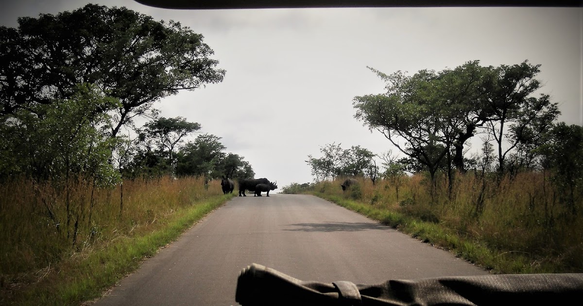 TravelComments.com Official Blog: SANParks announced the dates for the ...