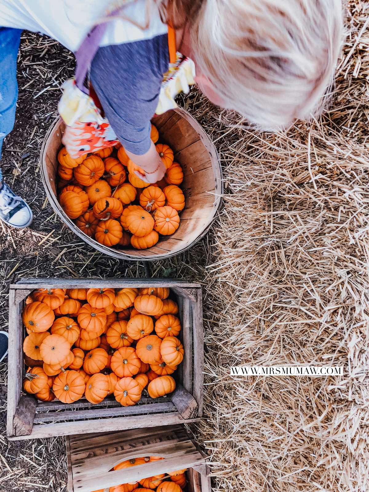 Cedar Point's Halloweekends with Kids | The Every Things Mrs Mumaw ...