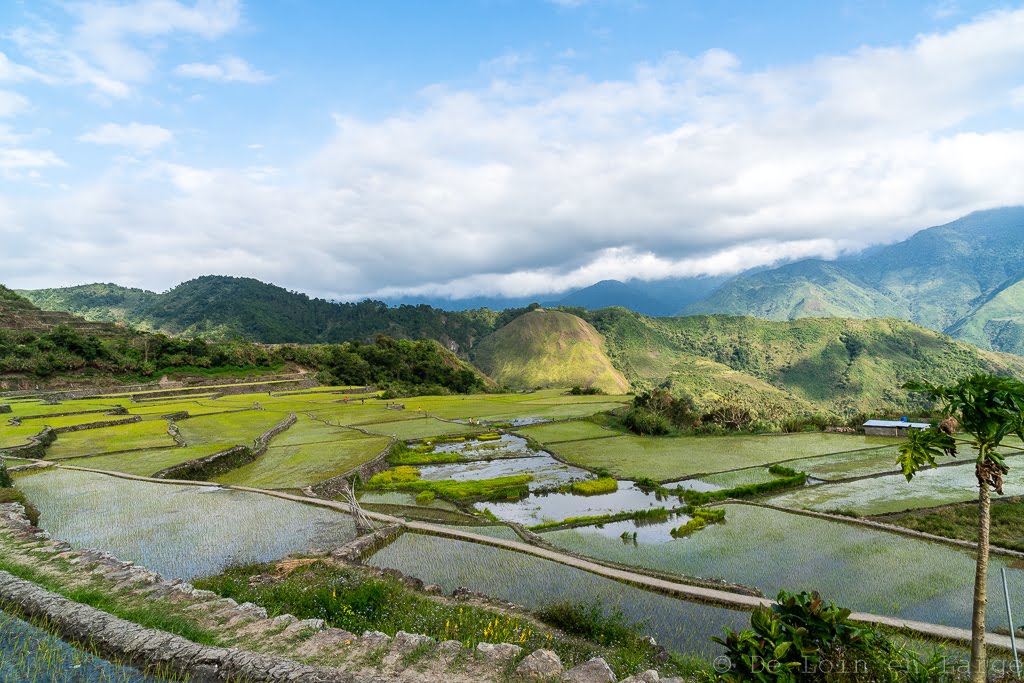 Philippines - jour 2 : Banaue - Buscalan - immersion au pays Kalinga