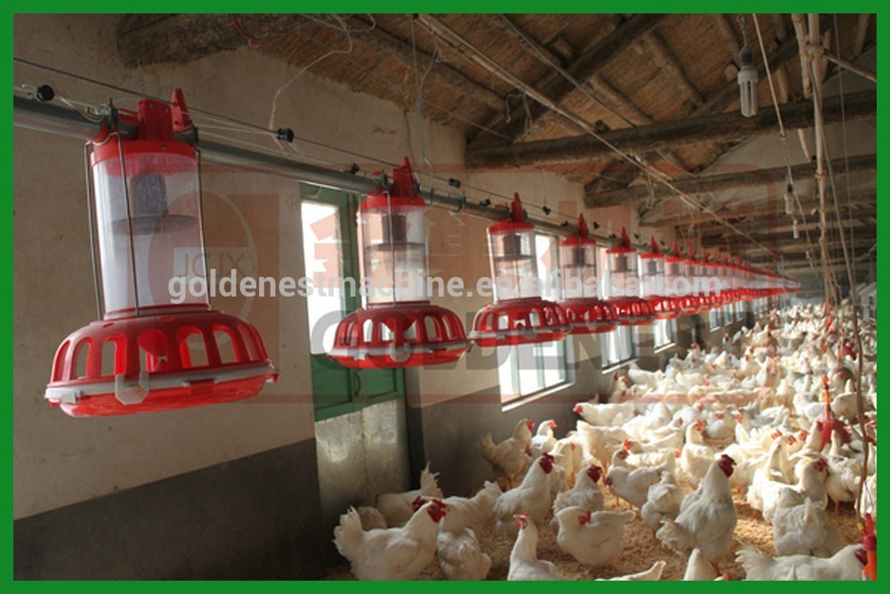 Instalaciones Y Equipos Para Producción De Gallinas Ponedoras ...