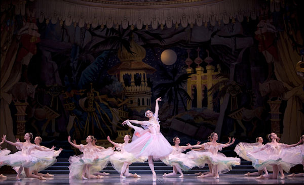 * T h e * V i s u a l * V a m p *: Do You Love Ballet Pink?