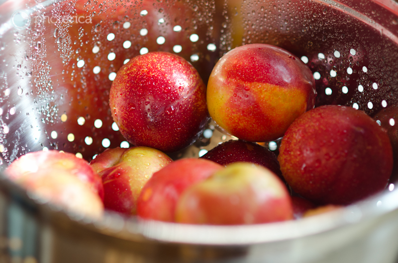 Photerica: Canning: Plums in Honey