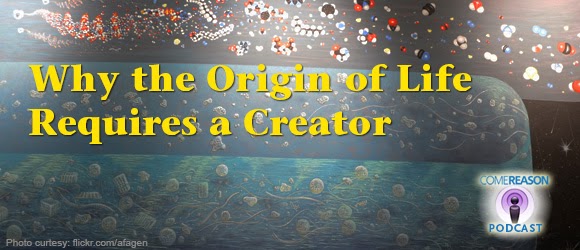 Why the Origin of Life Requires a Creator | Come Reason's Apologetics Notes