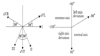 อัพเดตความรู้วันนี้: Axis คืออะไร (EKG -25)