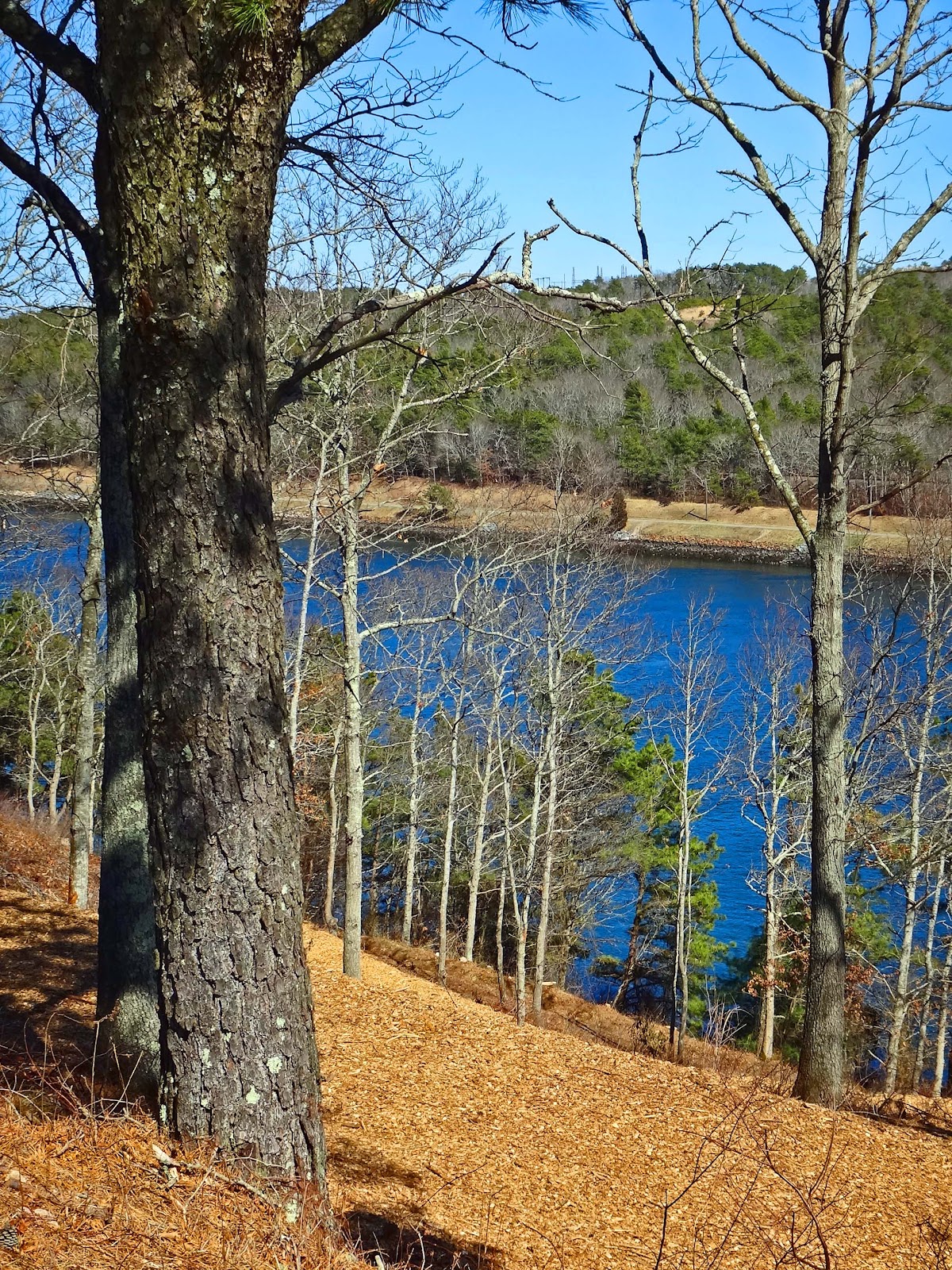 Joe's Retirement Blog: Cape Cod Canal, Buzzards Bay, Bourne ...