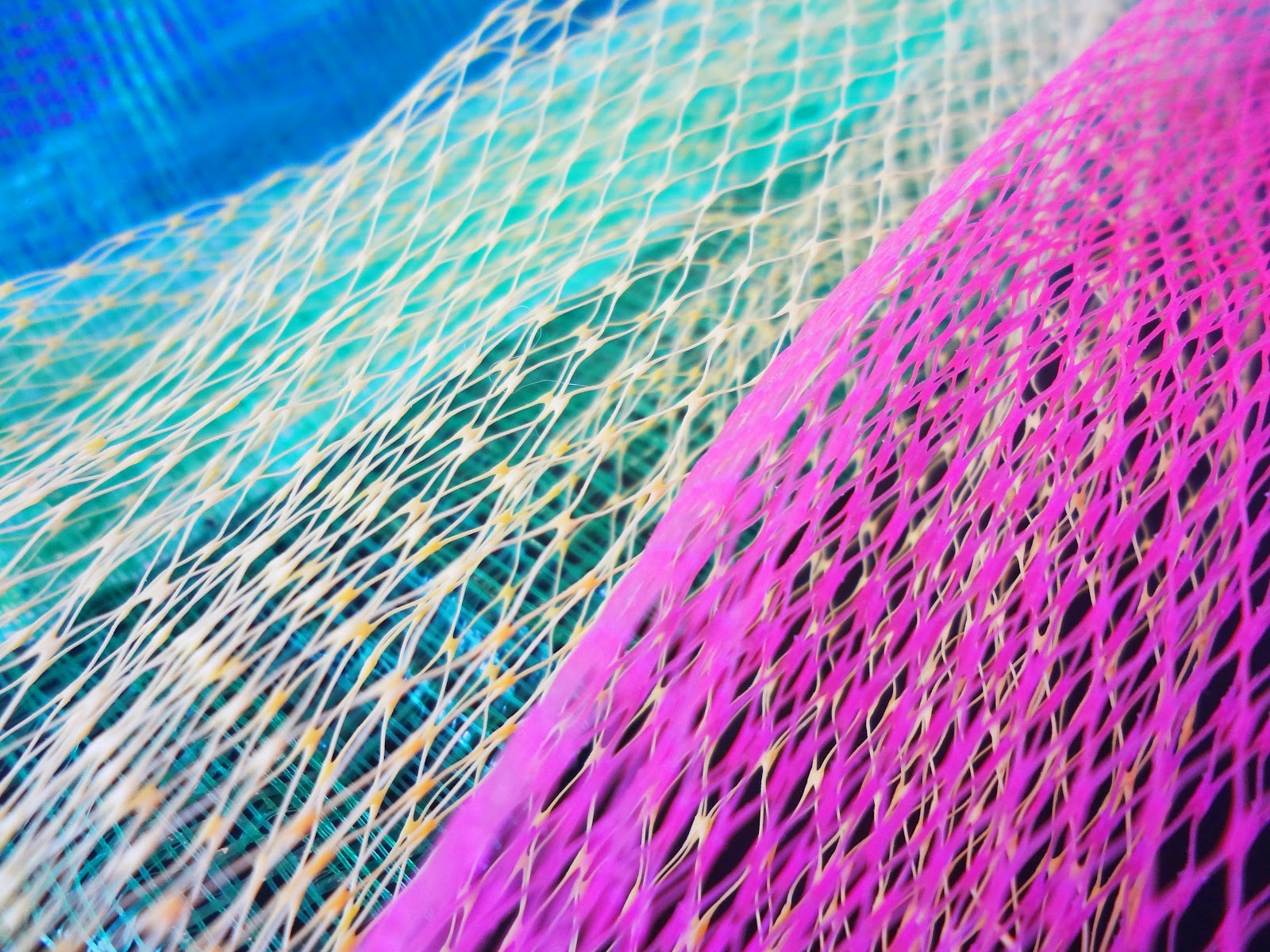 Green, Broke & Living in Kits: Seed Starting and Reuse of Plastic Mesh Bags