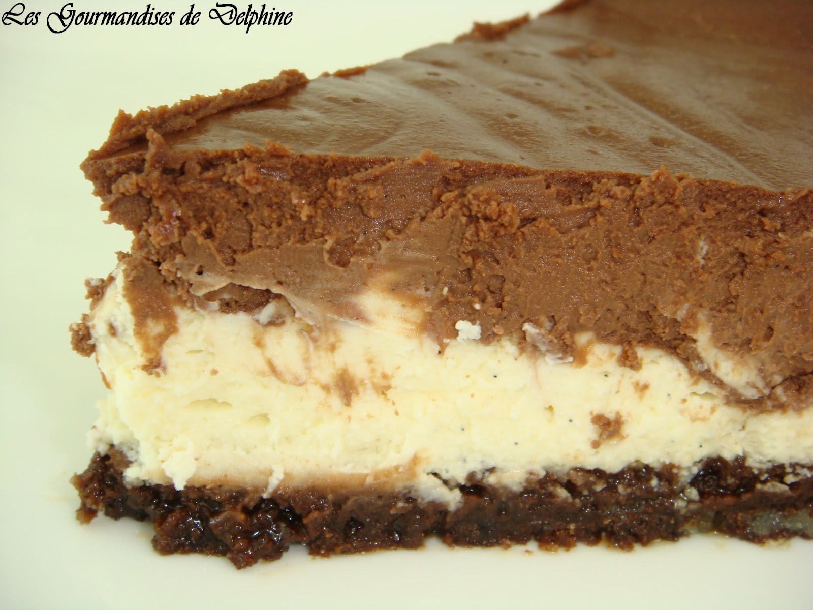 Cheesecake marbré au chocolat