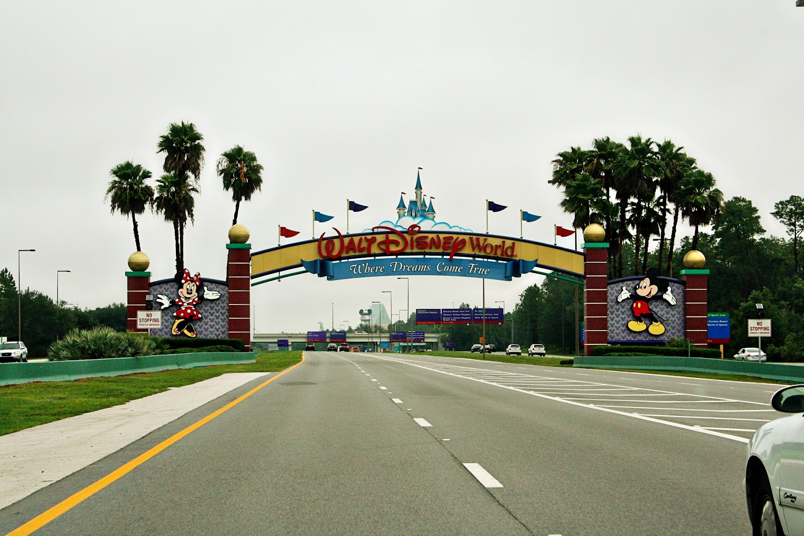 Playing with the Kids: Why is This Place So Magical?