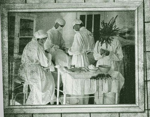 blog literario: saga asylum: Aspectos generales