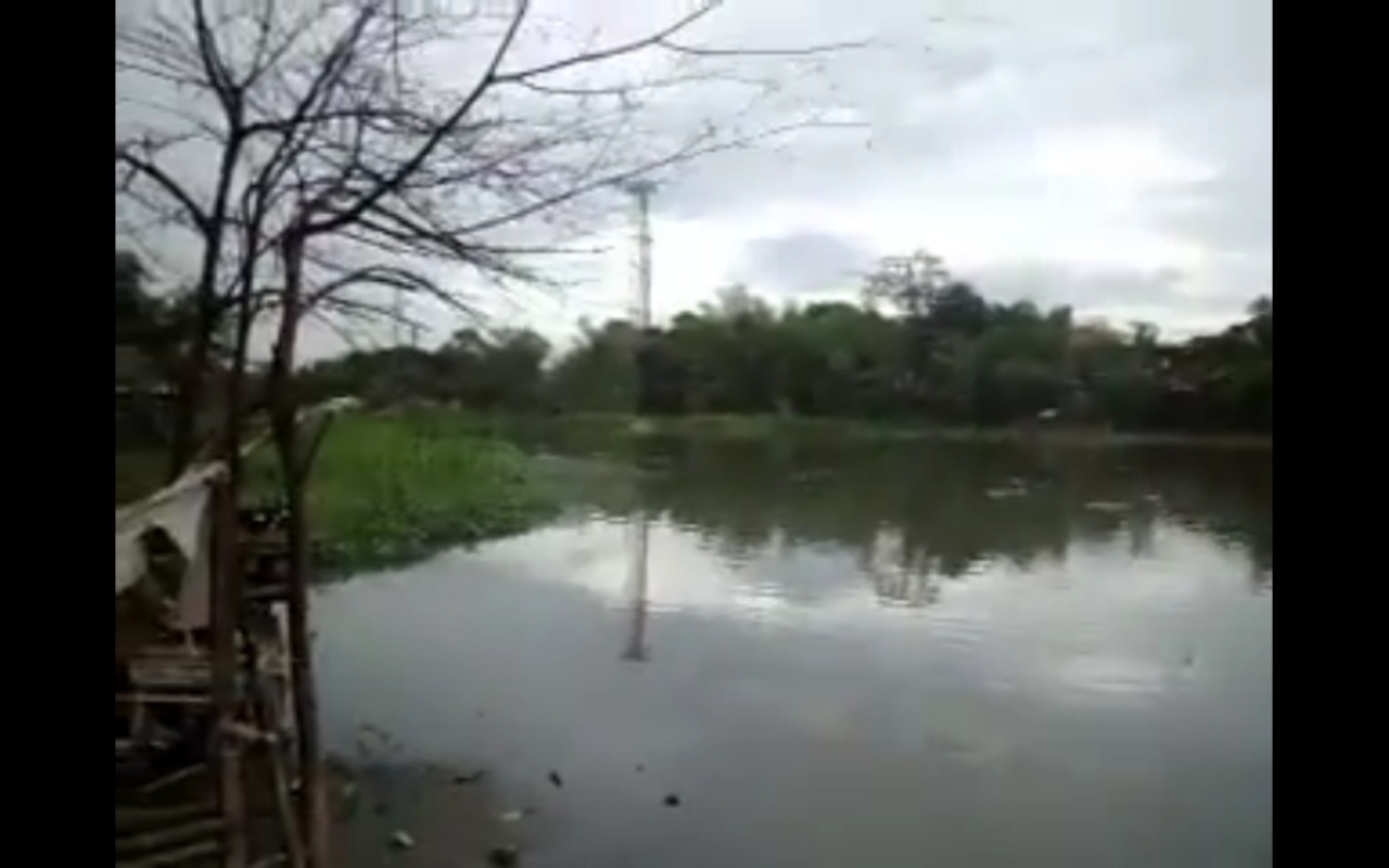 Pasig: The River of Life: Focus of the Study