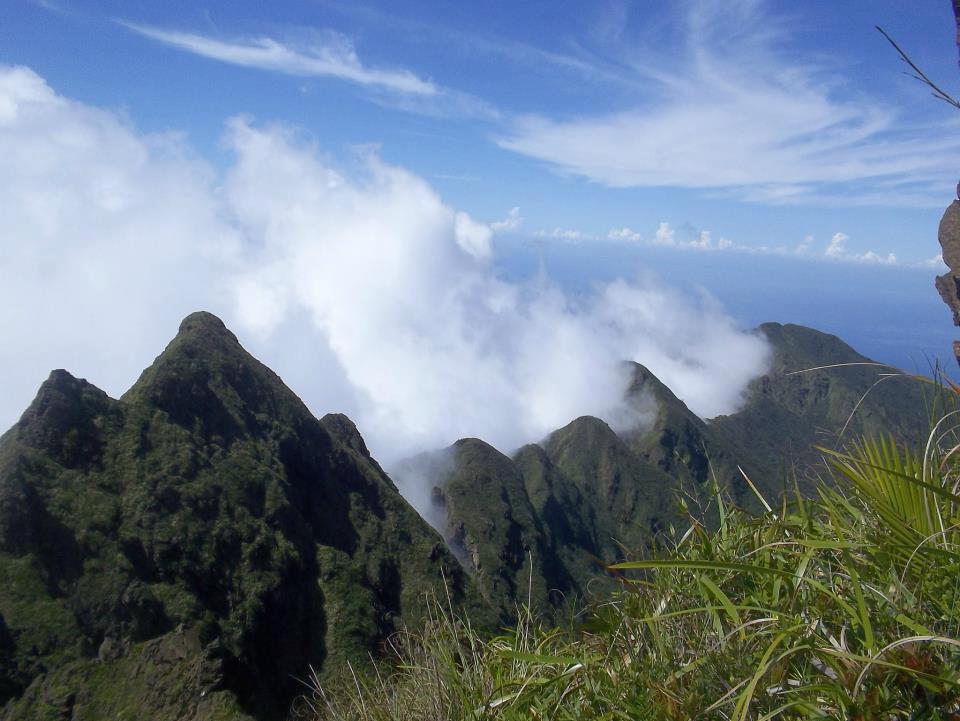 Orangutan Mountaineers: Mount Guiting-Guiting, Sibuyan Island Romblon