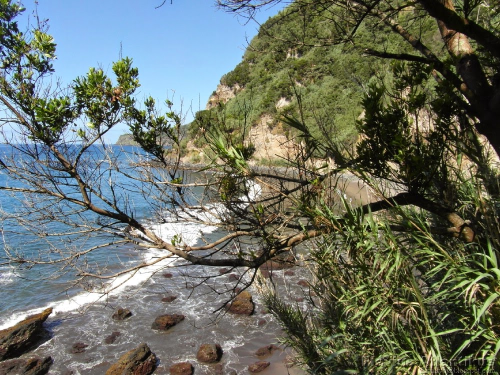 FLAVIUS ATLANTIKUS: Trilho da Praia da Amora - Ponta Garça (Vila Franca ...