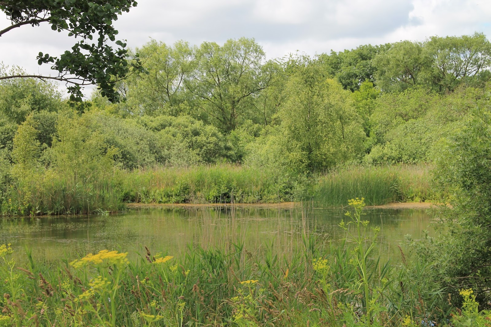 Vandringsløse Tidende: Smørmosen og Fedtmosen