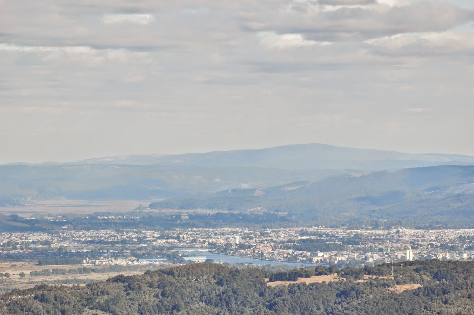 Blog de Viajes y Aventuras : El Parque Oncol en la Selva Valdiviana