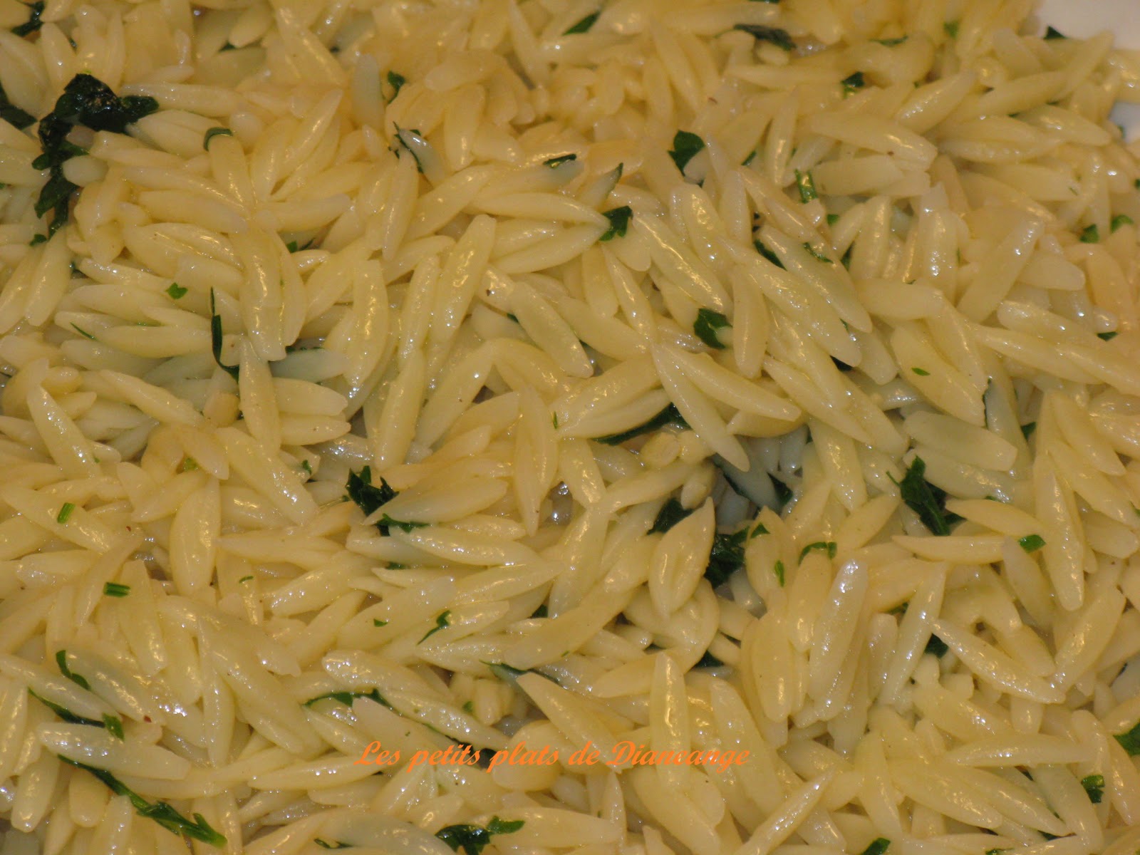 Les petits plats de Diane(ange): Orzo aux 2 persils