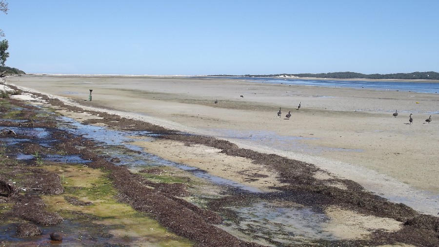 Living the Dream in Oz: Wilsons Promontory