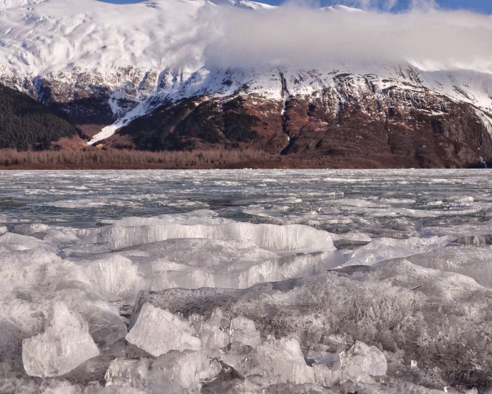 Heart Alaska: Portage Lake