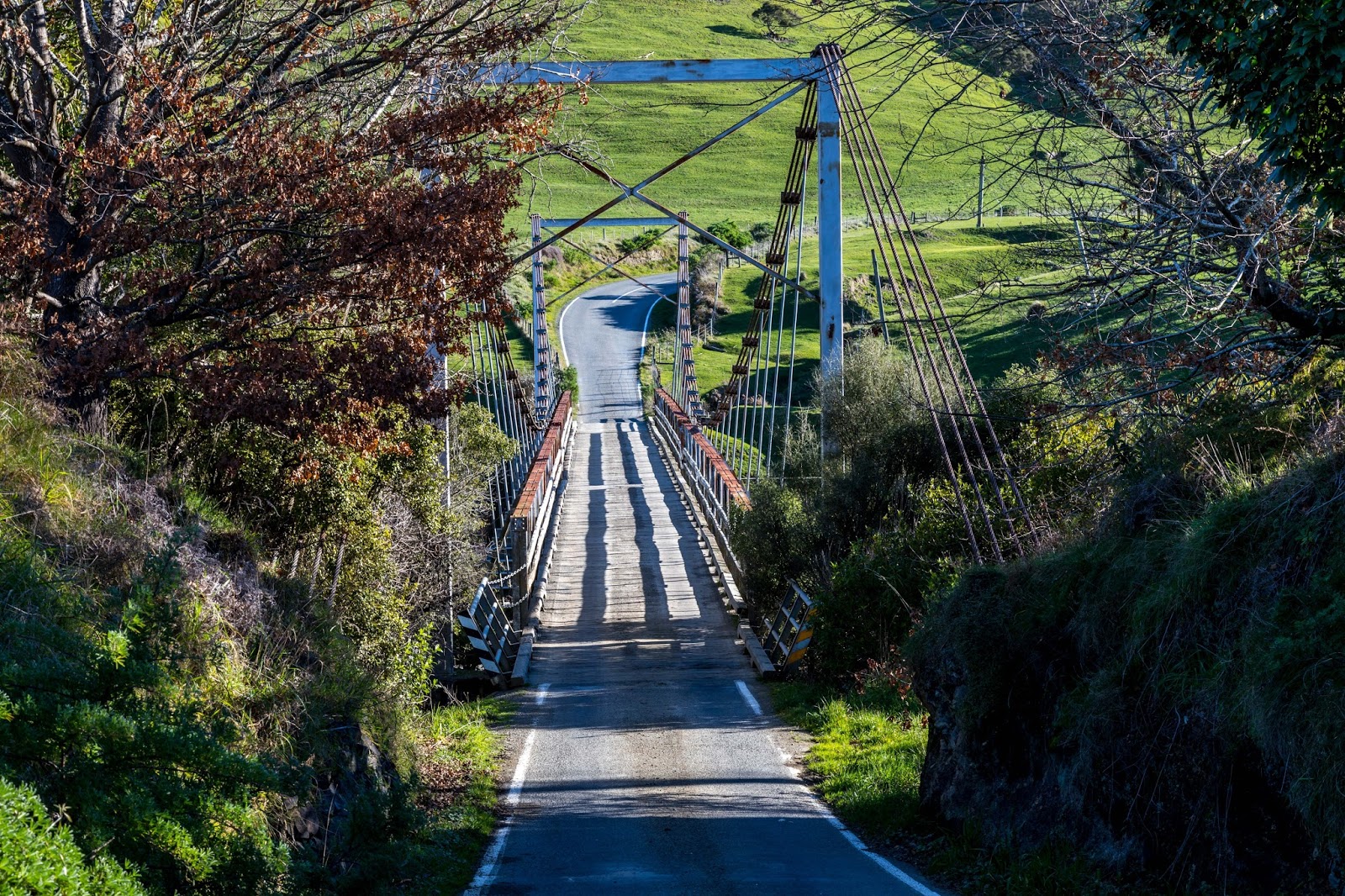 A Kiwi at the camera: Swing bridge over the Hurunui River (Blythe Road)