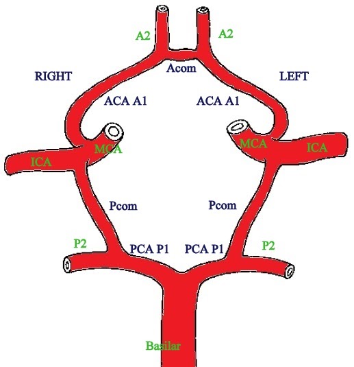 Dr Balaji Anvekar FRCR: Circle of Willis Anatomy