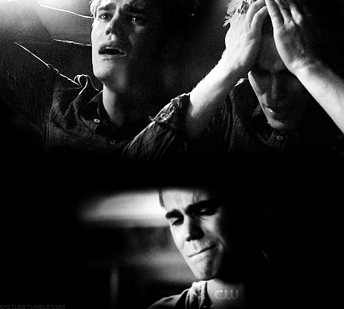 The Vampire Diaries: La Saga