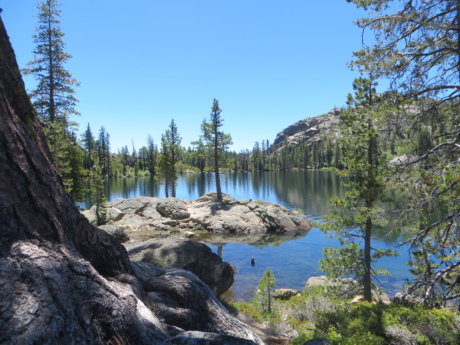 My Pacific Northwest: Graeagle CA Vacation- Part 3 of 3