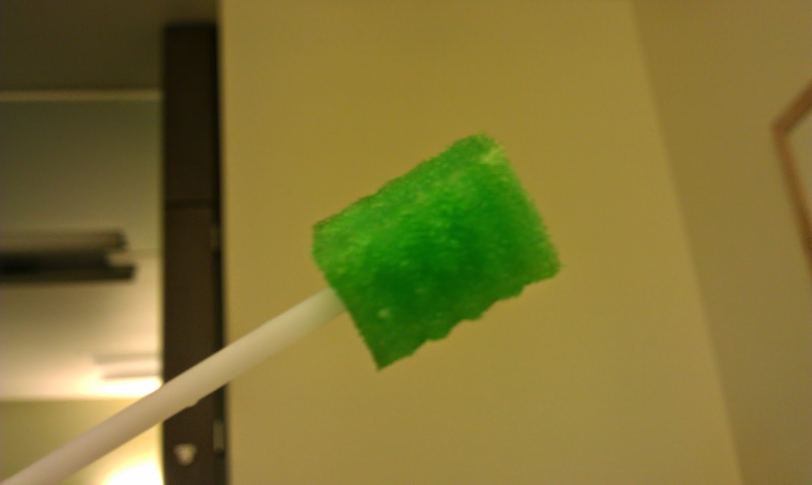 Heather's Surgery Adventures, Part 2