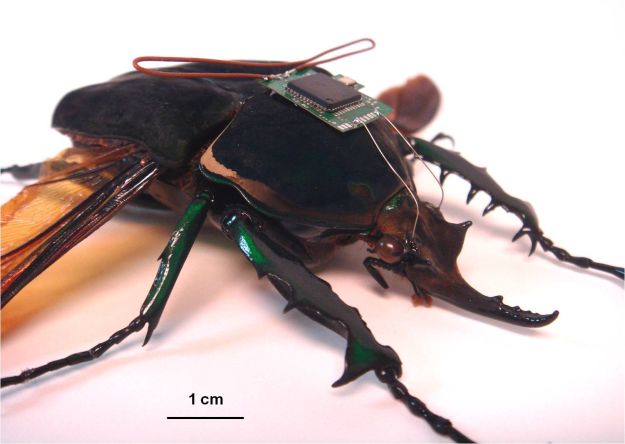 Cuba, Isla Mía : Cyborg: los nuevos espías de los conquistadores modernos