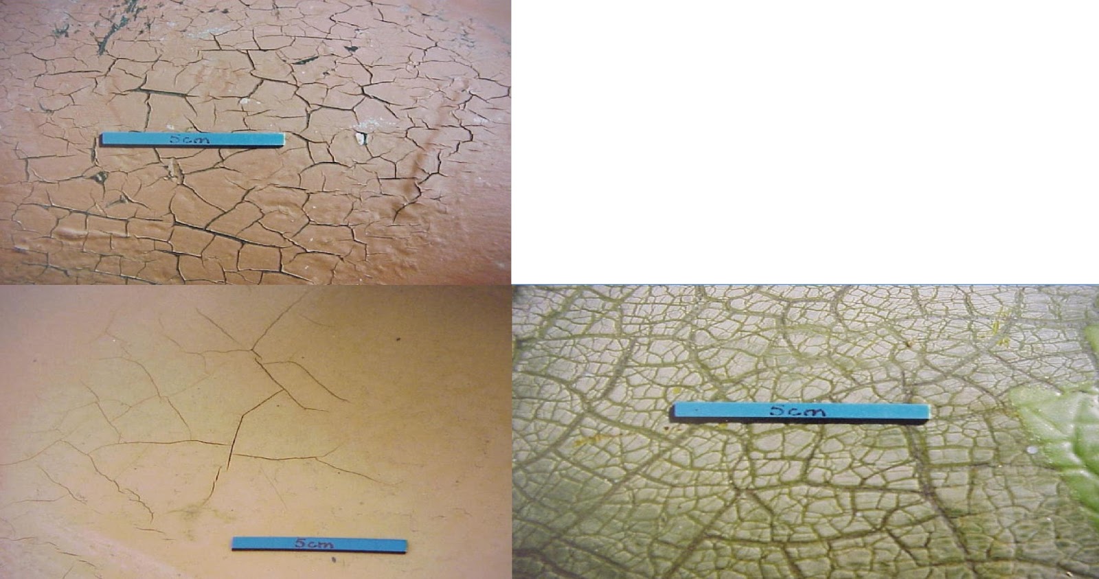 Engineering Zone: Painting Defects