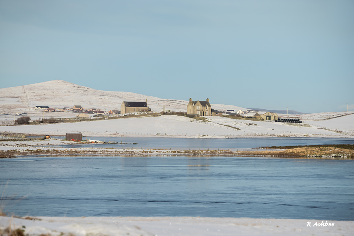 Shetland move and experiences: Tingwall, Shetland in the snow