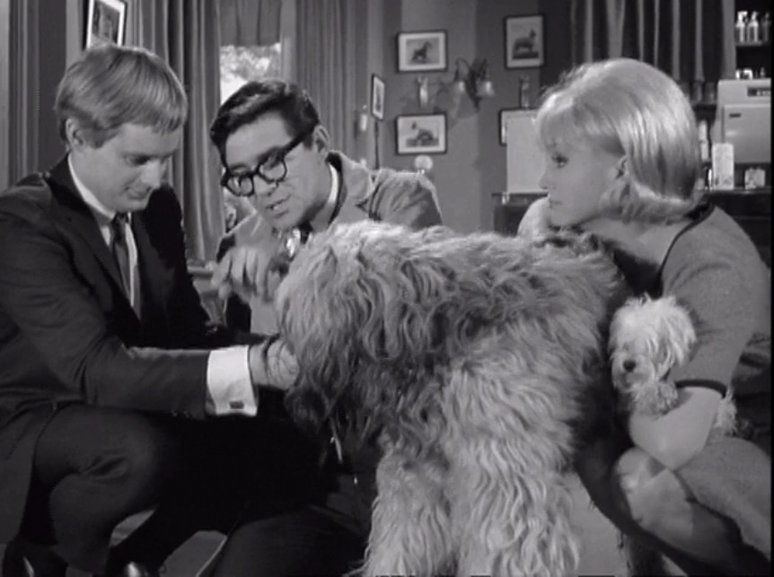 The Man From U.N.C.L.E.: “The Bow-Wow Affair”