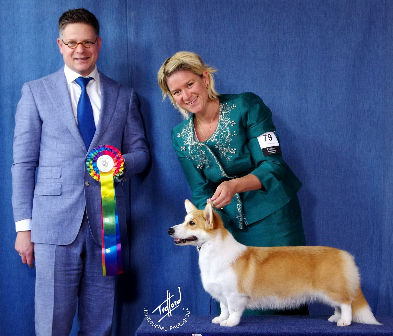 TraffordPhotos - Australian Dog Show Photos: 16th NATIONAL WELSH CORGI ...