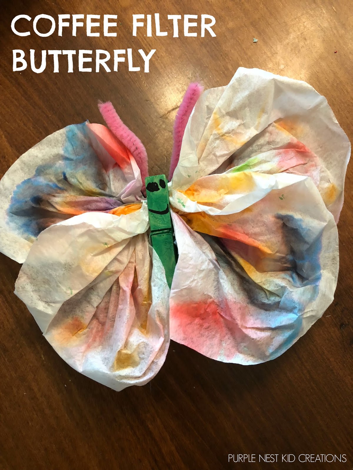 Purple Nest Kid Creations: Coffee Filter Butterfly