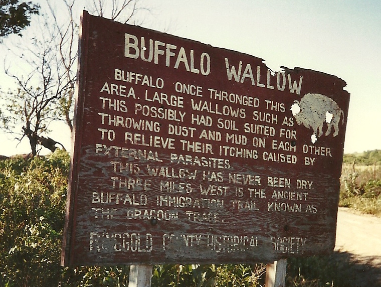 CHANCES R.....: Before the Sac and Fox, the Buffalo