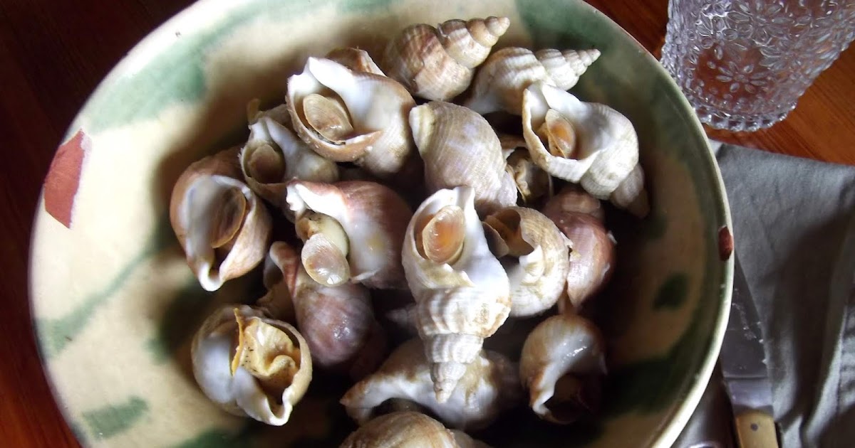 Magnon's Meanderings: Whelks.