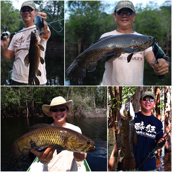 ANGLING WORLD 魔魚釣界: Adventure Fishing @ Amazonia Rio Negro