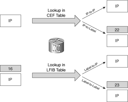 Understanding LFIB? ~ Network & Security Consultant