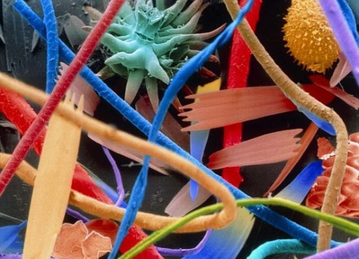 World Of Technology: Everyday Items under a Microscope (27 pics)