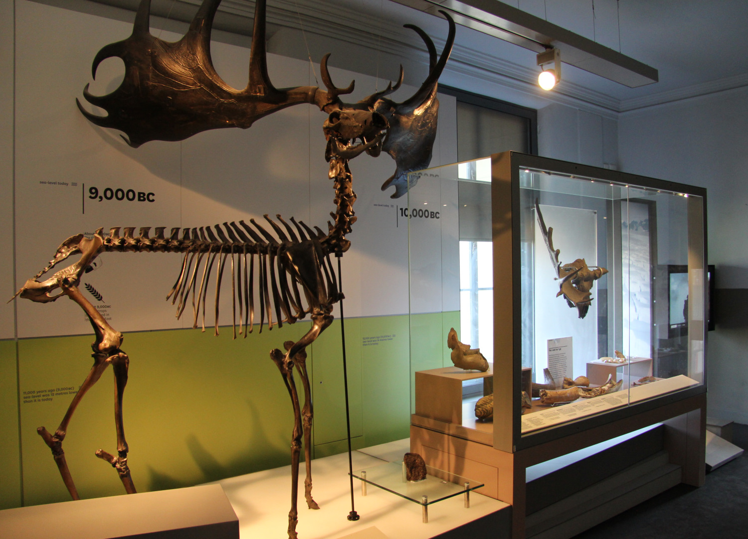 Torwen's Blog: A short visit to Newcastle: the Great North Museum, Hancock