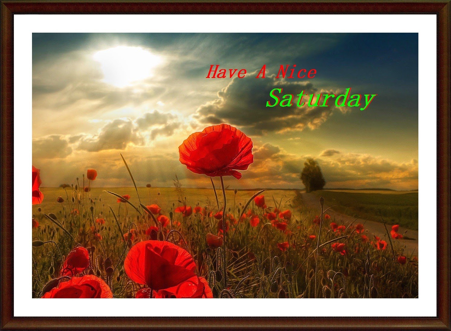 Η Ζωή Μας Μια Εικόνα: It's Saturday ! Yippeeee